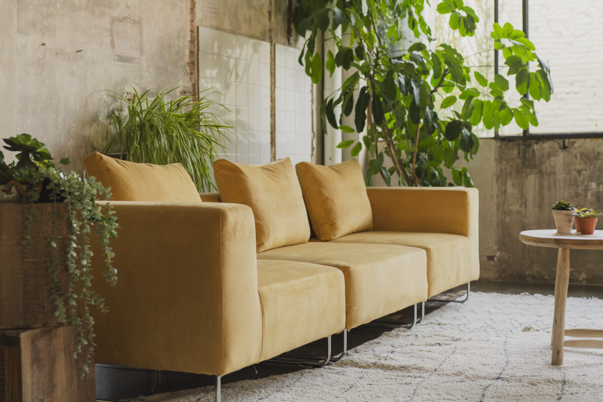 Lotus Office - Crimons